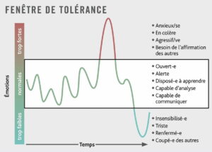 Comment fonctionnent nos émotions? Comprendre la régulation ...