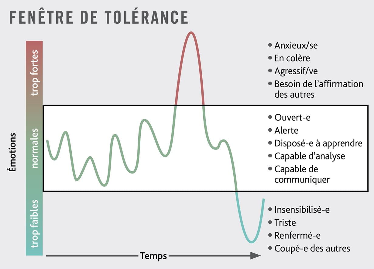 Comment fonctionnent nos émotions? Comprendre la régulation ...